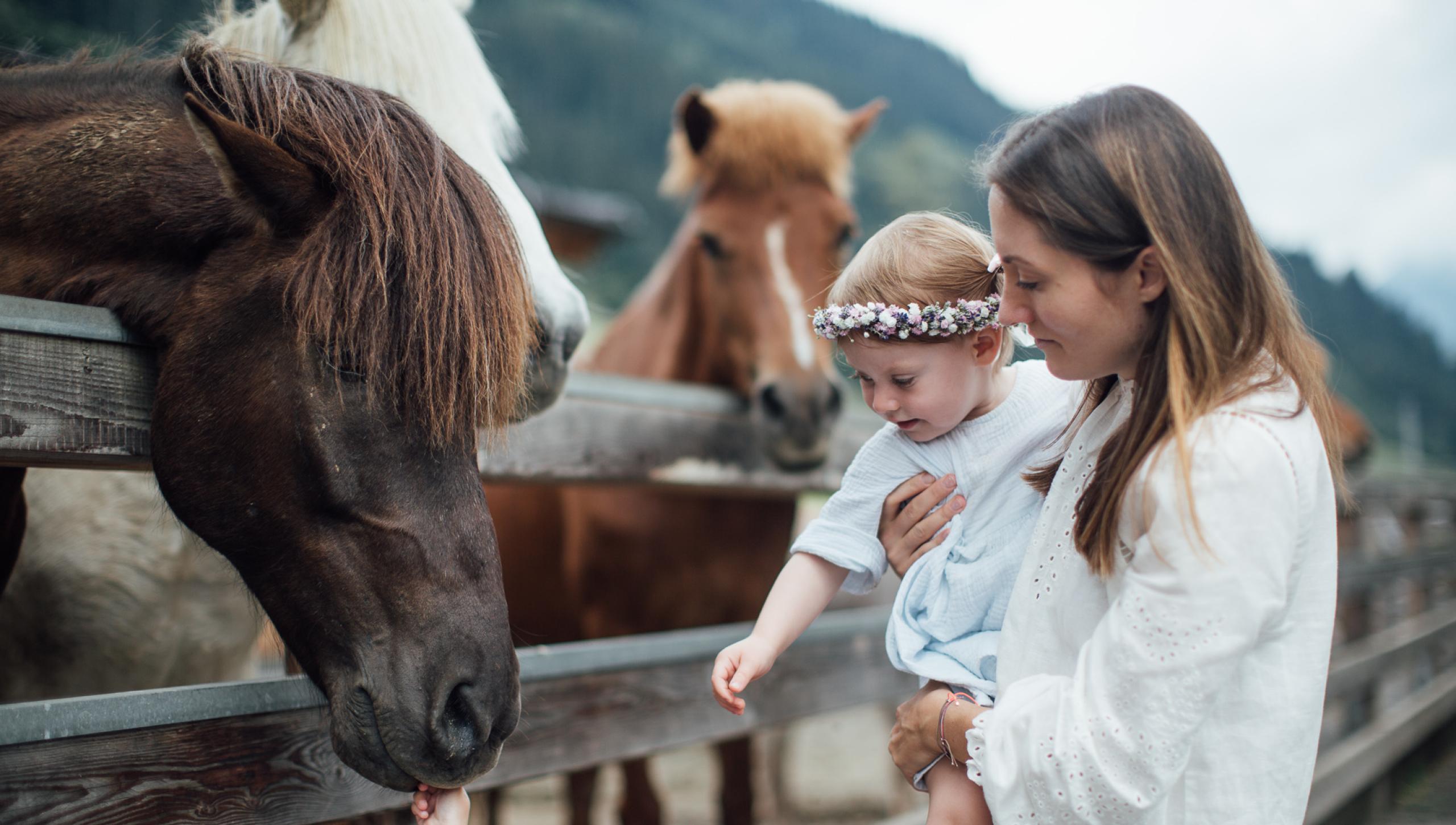 Change Maker Hotel Moar Gut: Kinderhotel der nächsten Generation ...